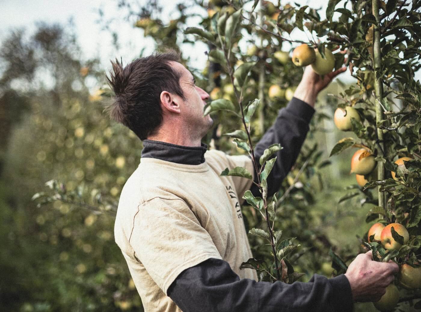 Joe Pardoe / Riverford