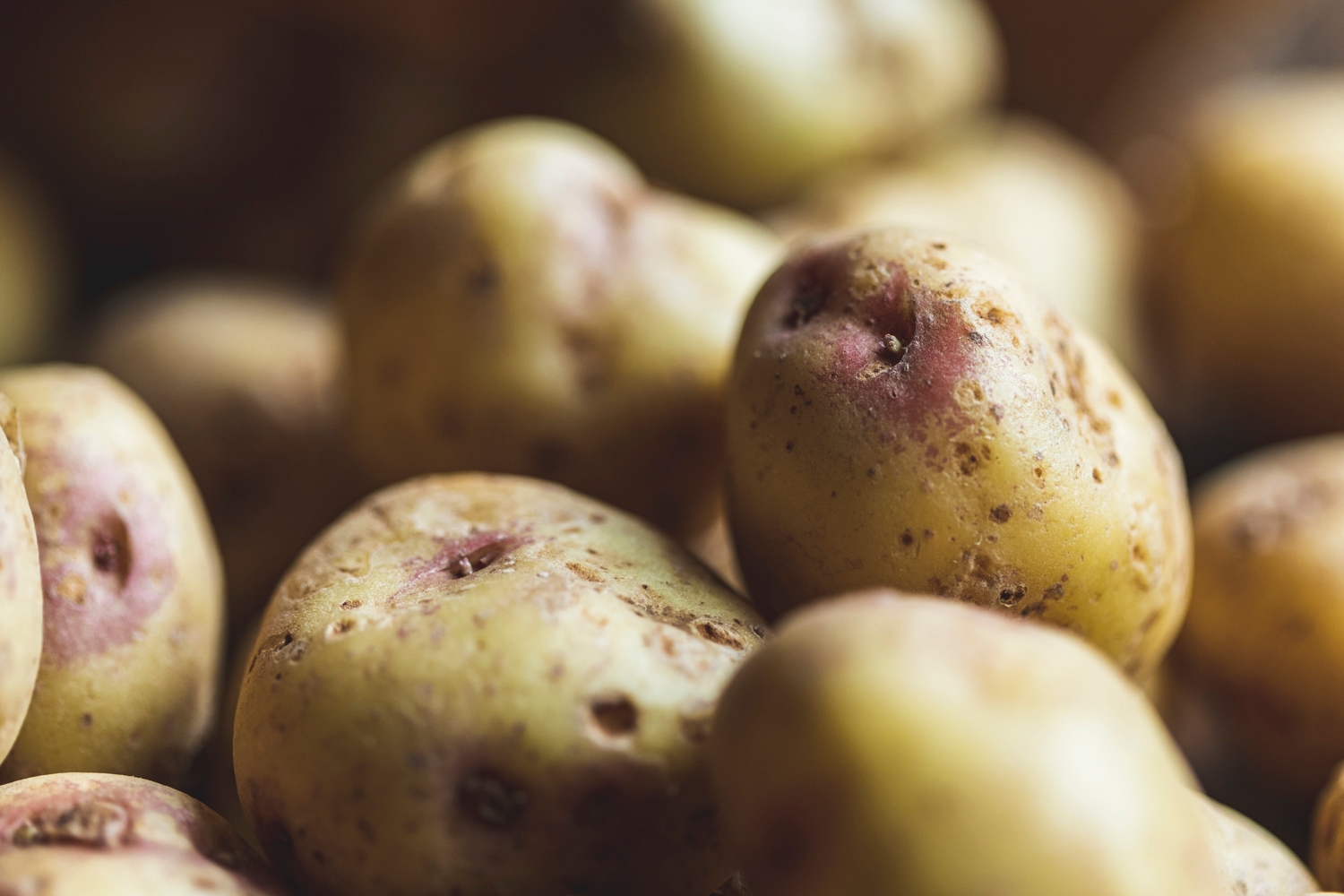 Organic Mini King Edward potatoes 1kg / Riverford