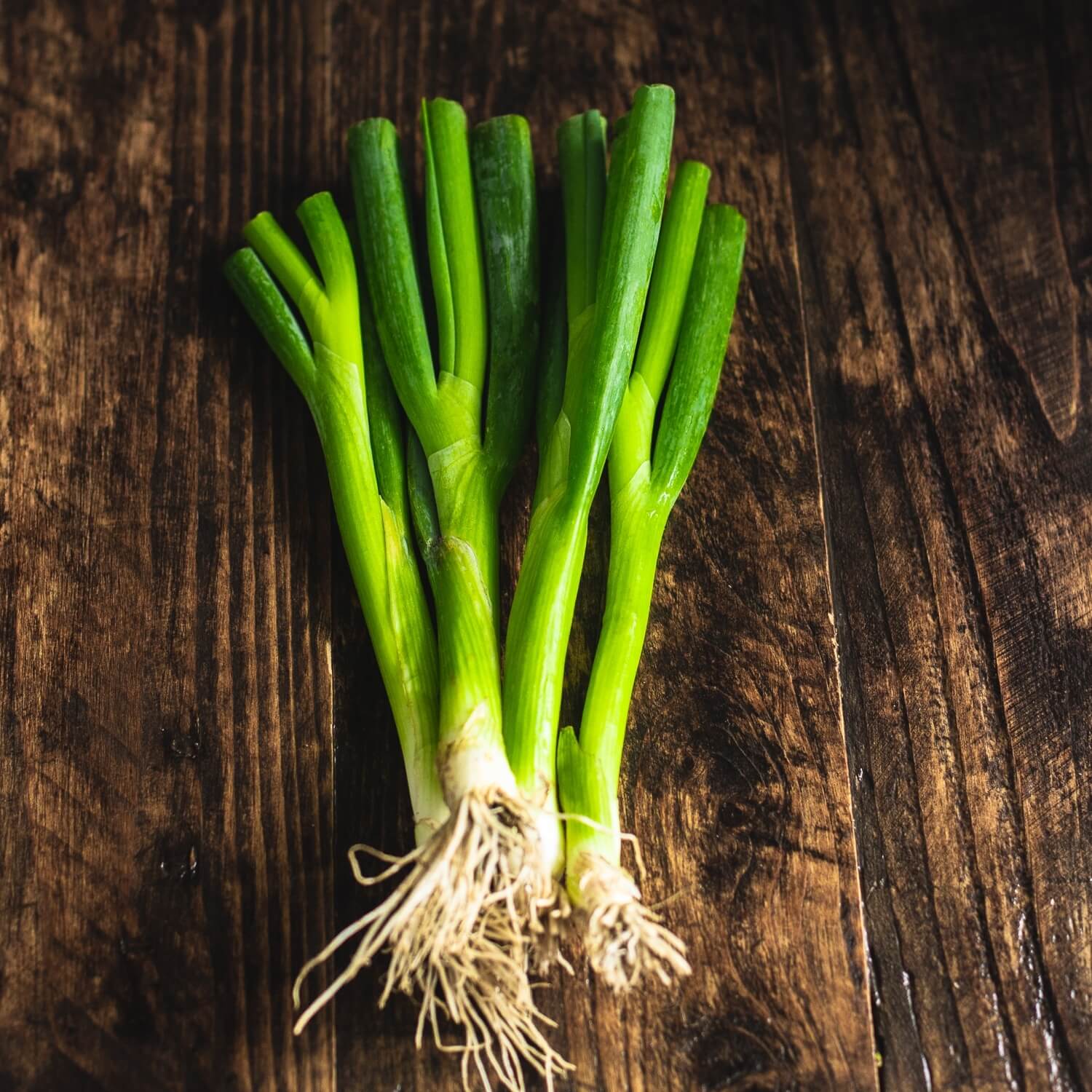 Organic Spring onions / Riverford