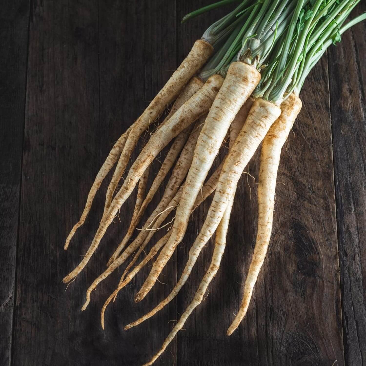 Organic Bunched parsley root x1 / Riverford