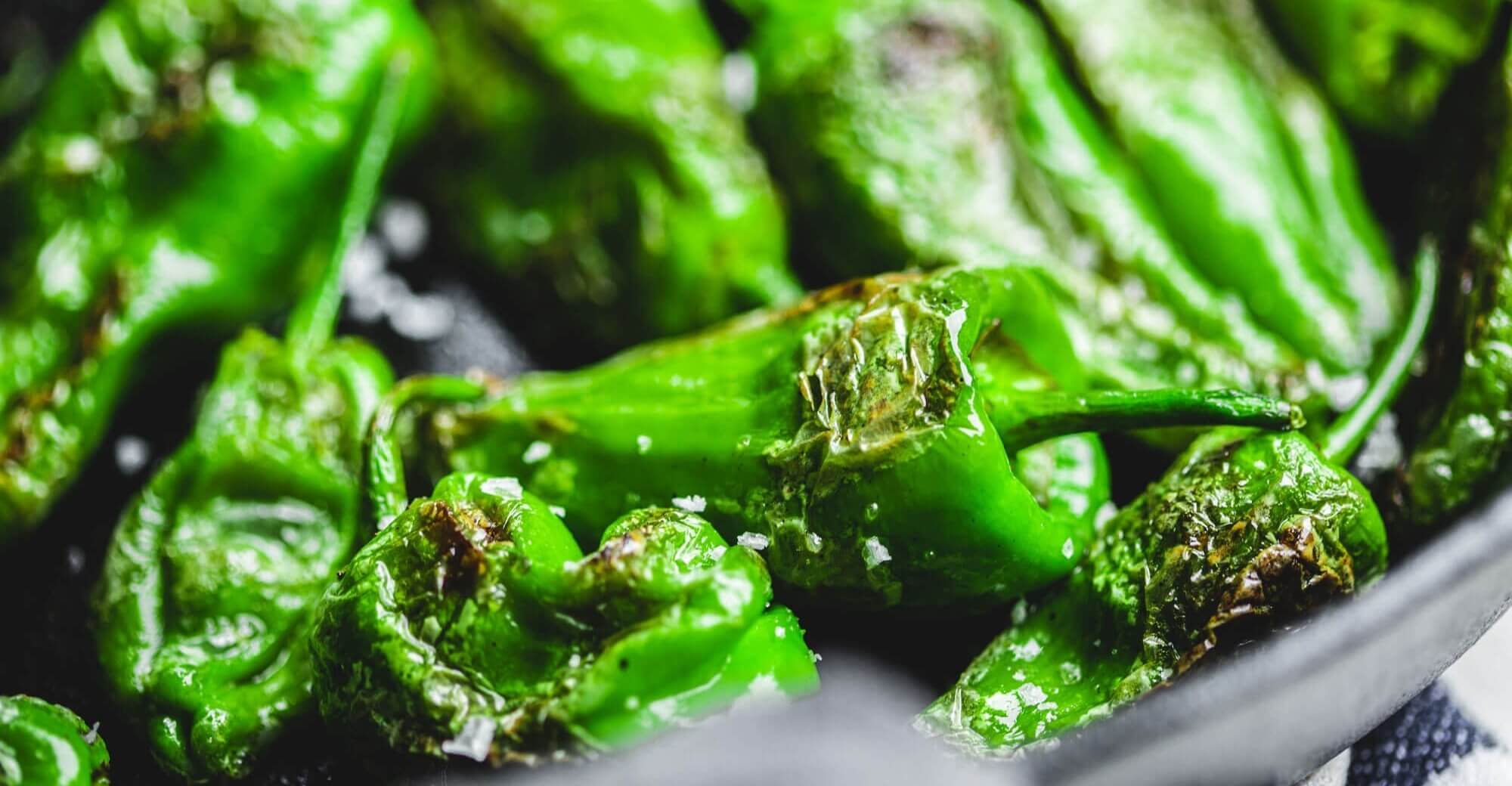Padron pepper guide / A - Z of Veg / Riverford