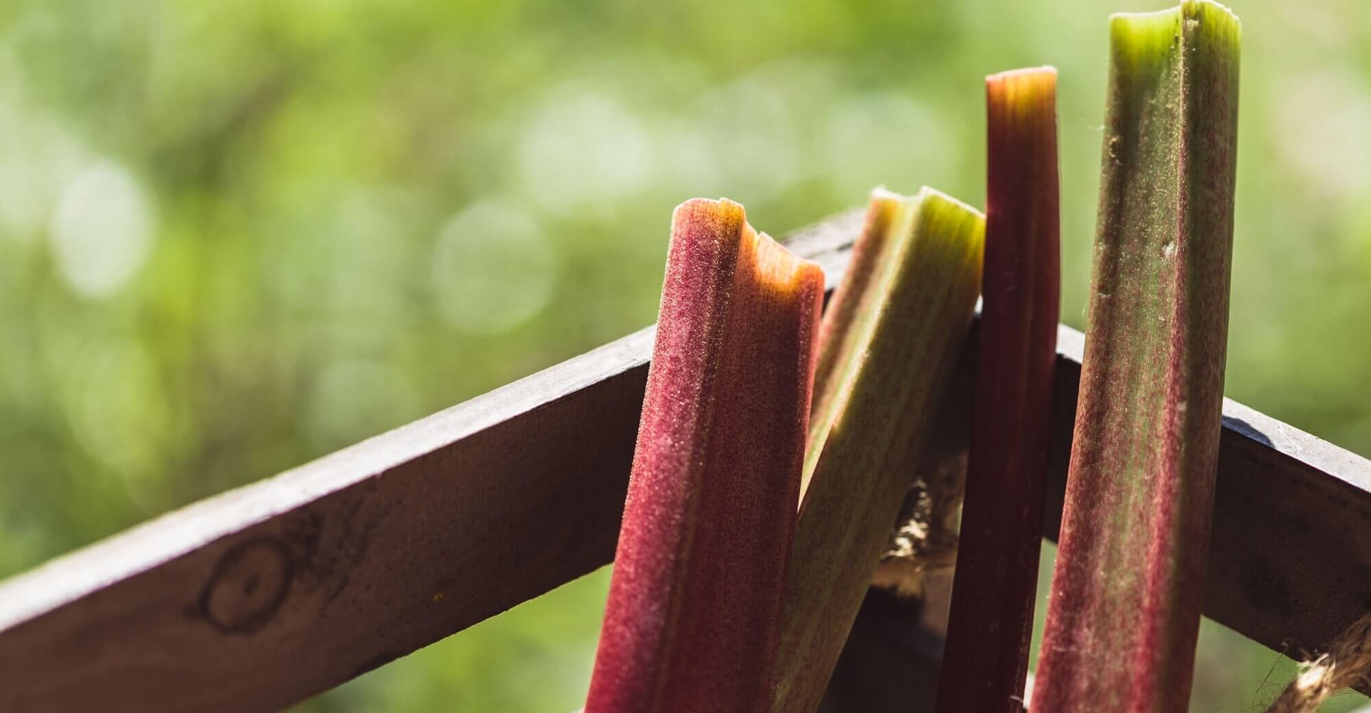 Rhubarb guide / A - Z of Veg / Riverford