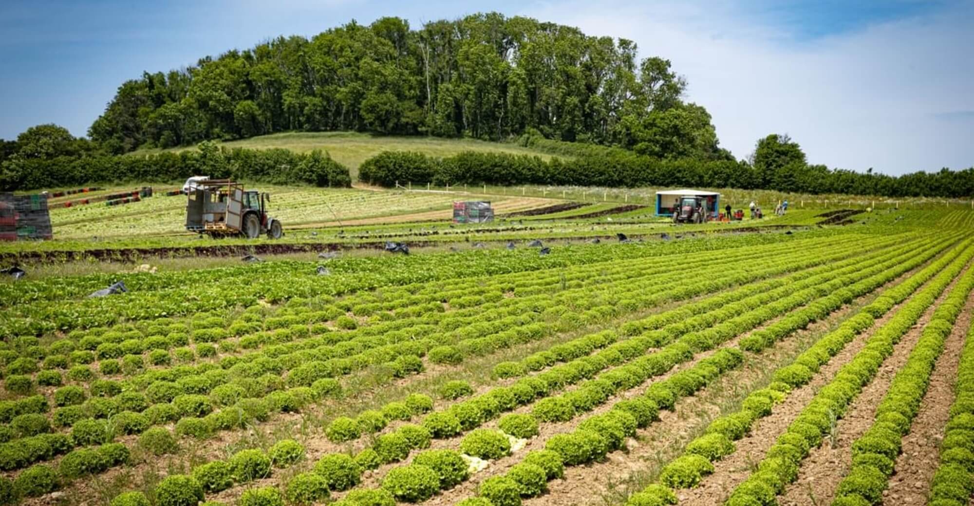 Ed and Heather Rhodes / Riverford