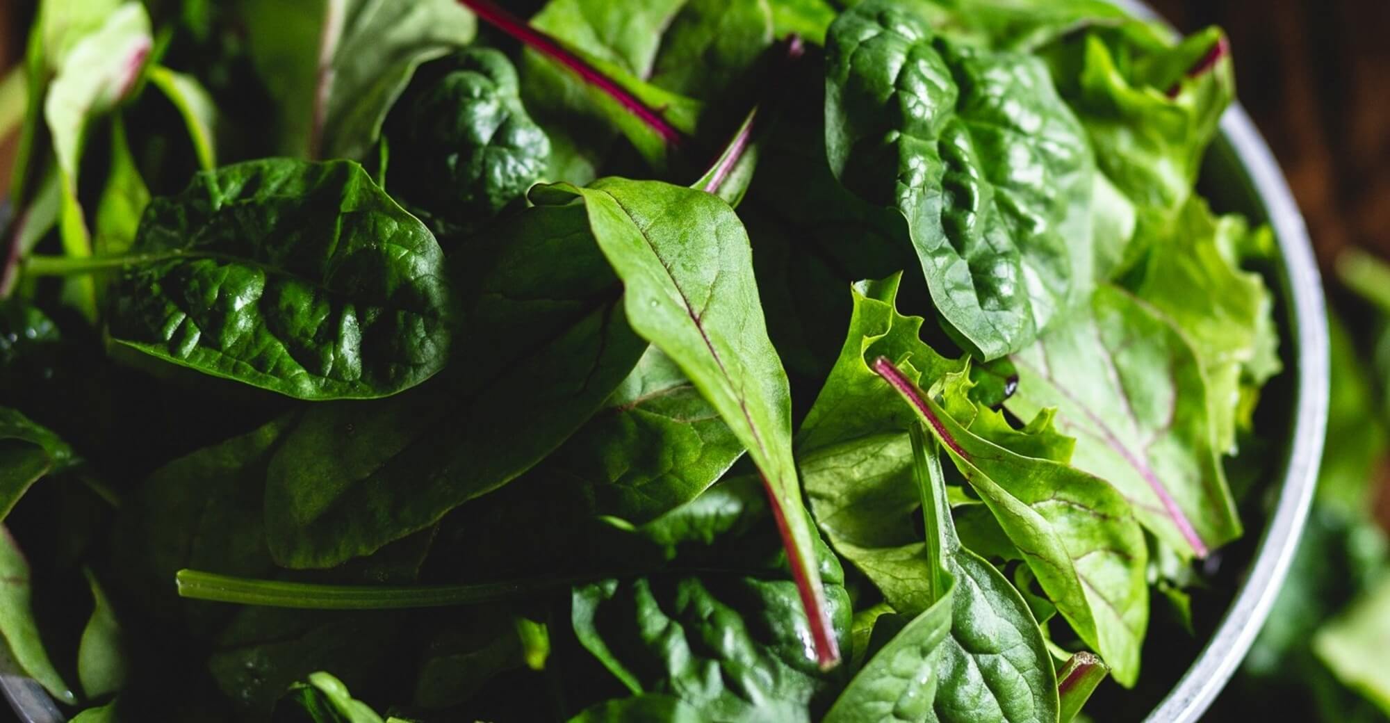 Mixed salad leaves guide / A - Z of Veg / Riverford