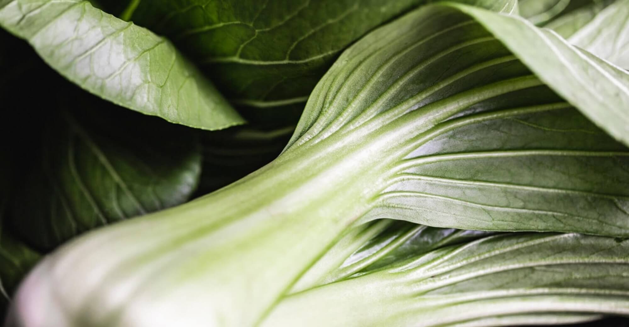 Pak choi guide / A - Z of Veg / Riverford