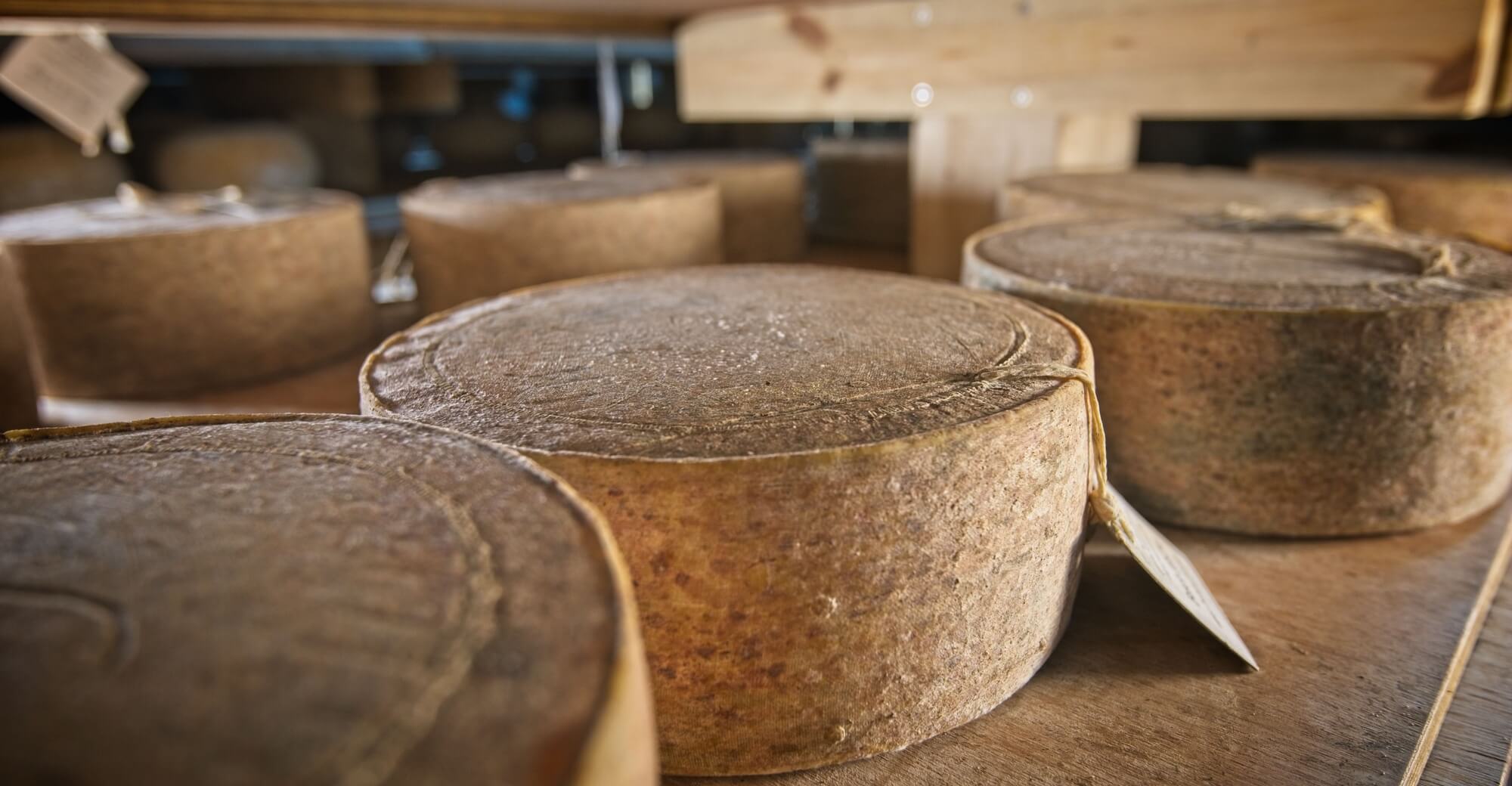 The Ethical Dairy / Riverford