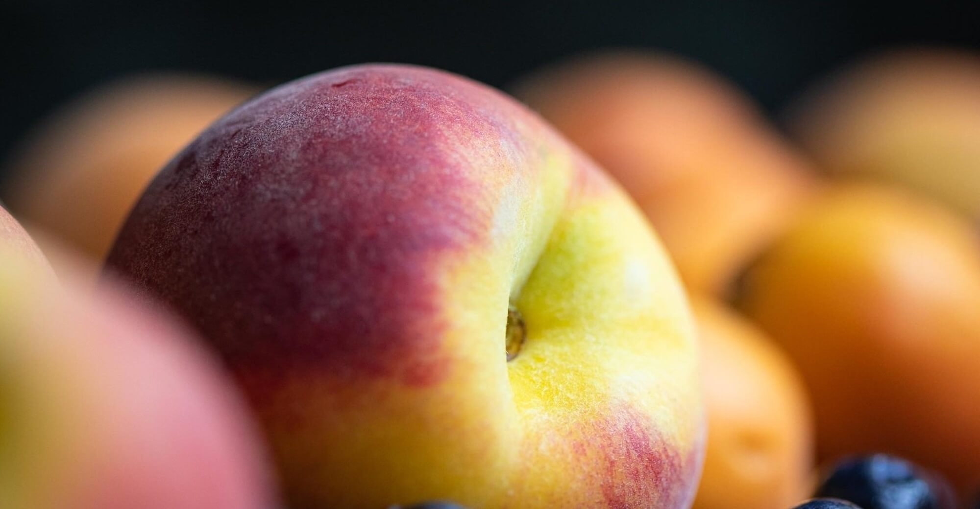 Stone fruit guide / A - Z of Veg / Riverford