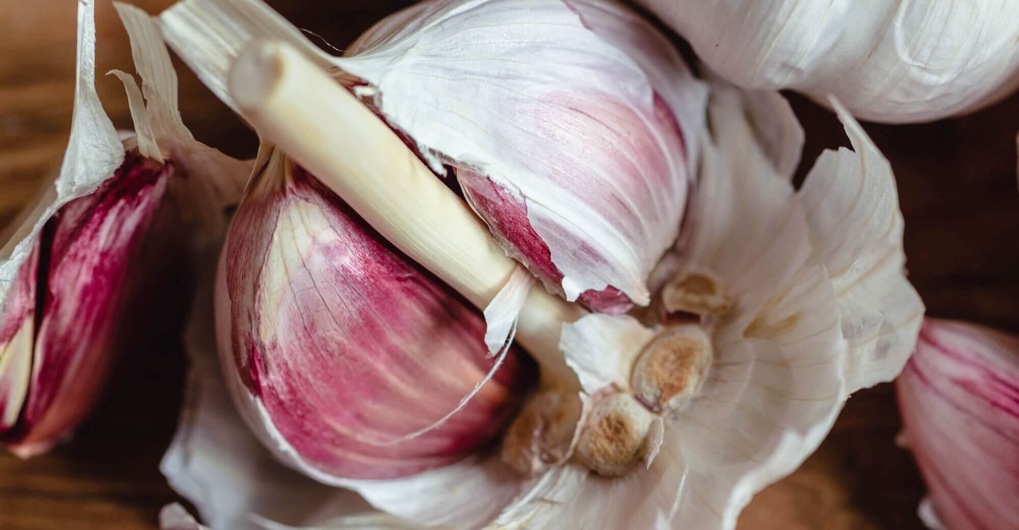 Garlic guide / A - Z of Veg / Riverford