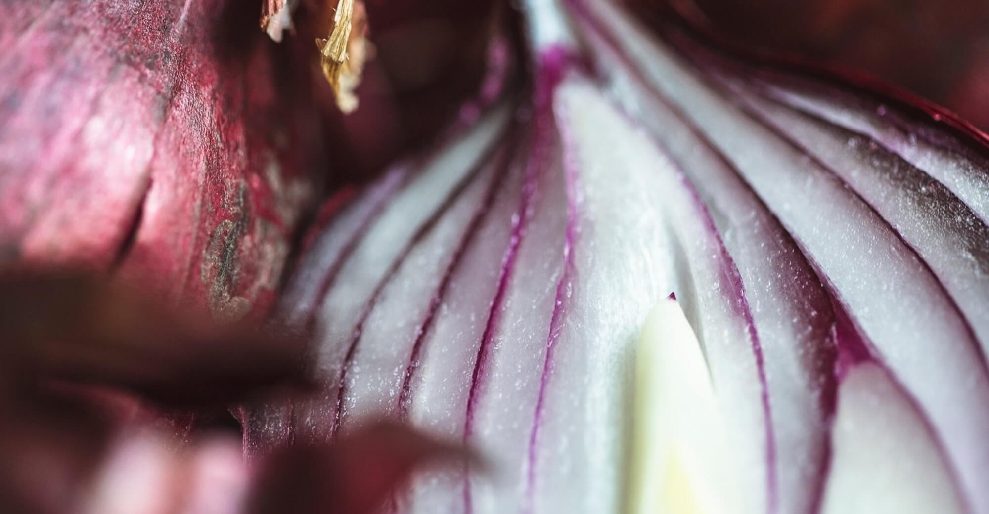 Red onions guide / A - Z of Veg / Riverford