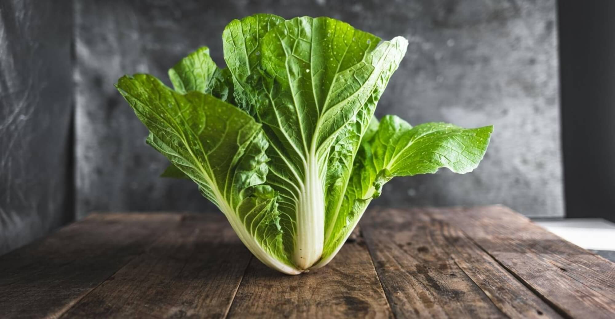 Chinese cabbage guide / A - Z of Veg / Riverford