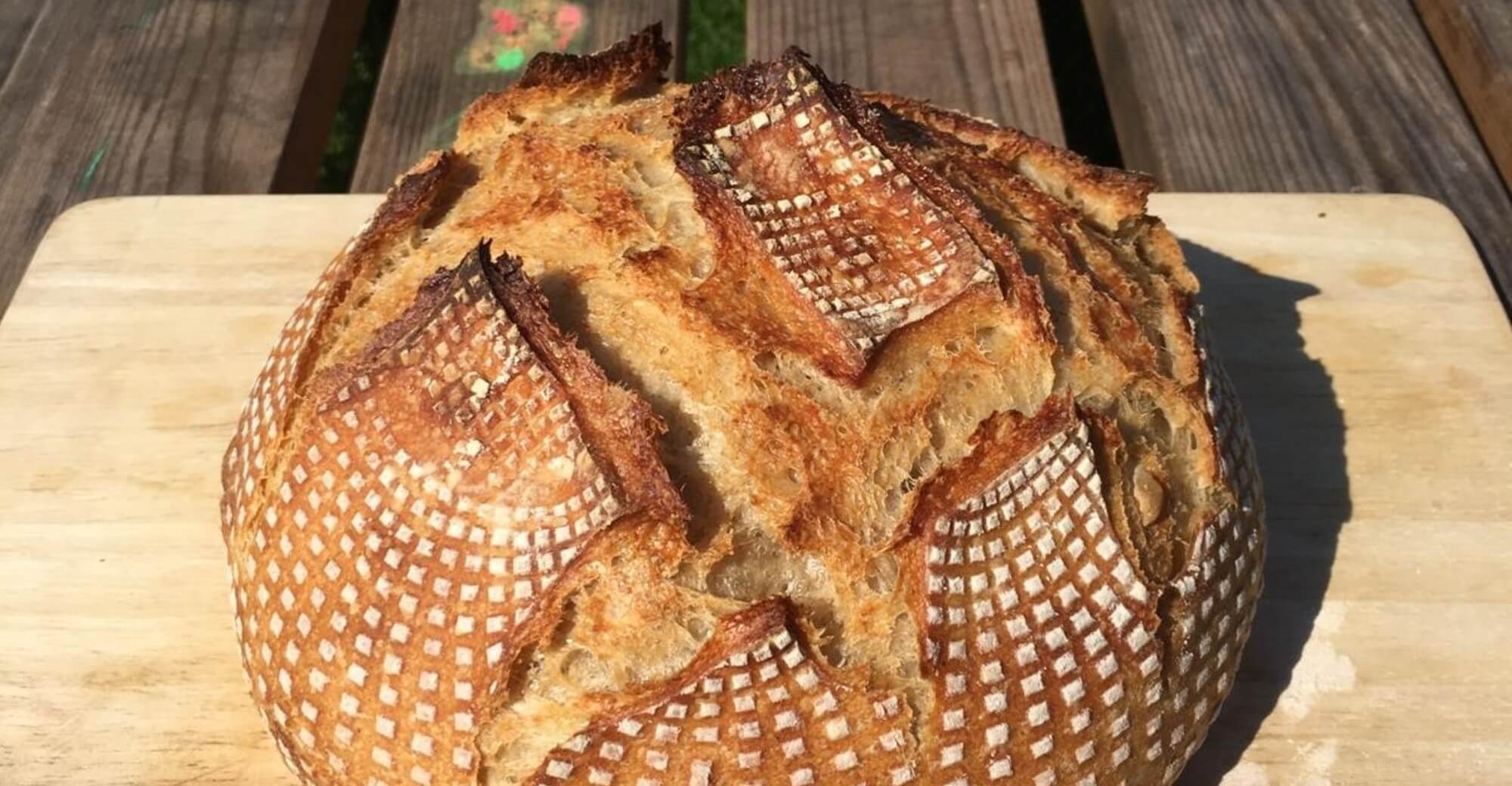 Sourdough-making guide recipe / Riverford