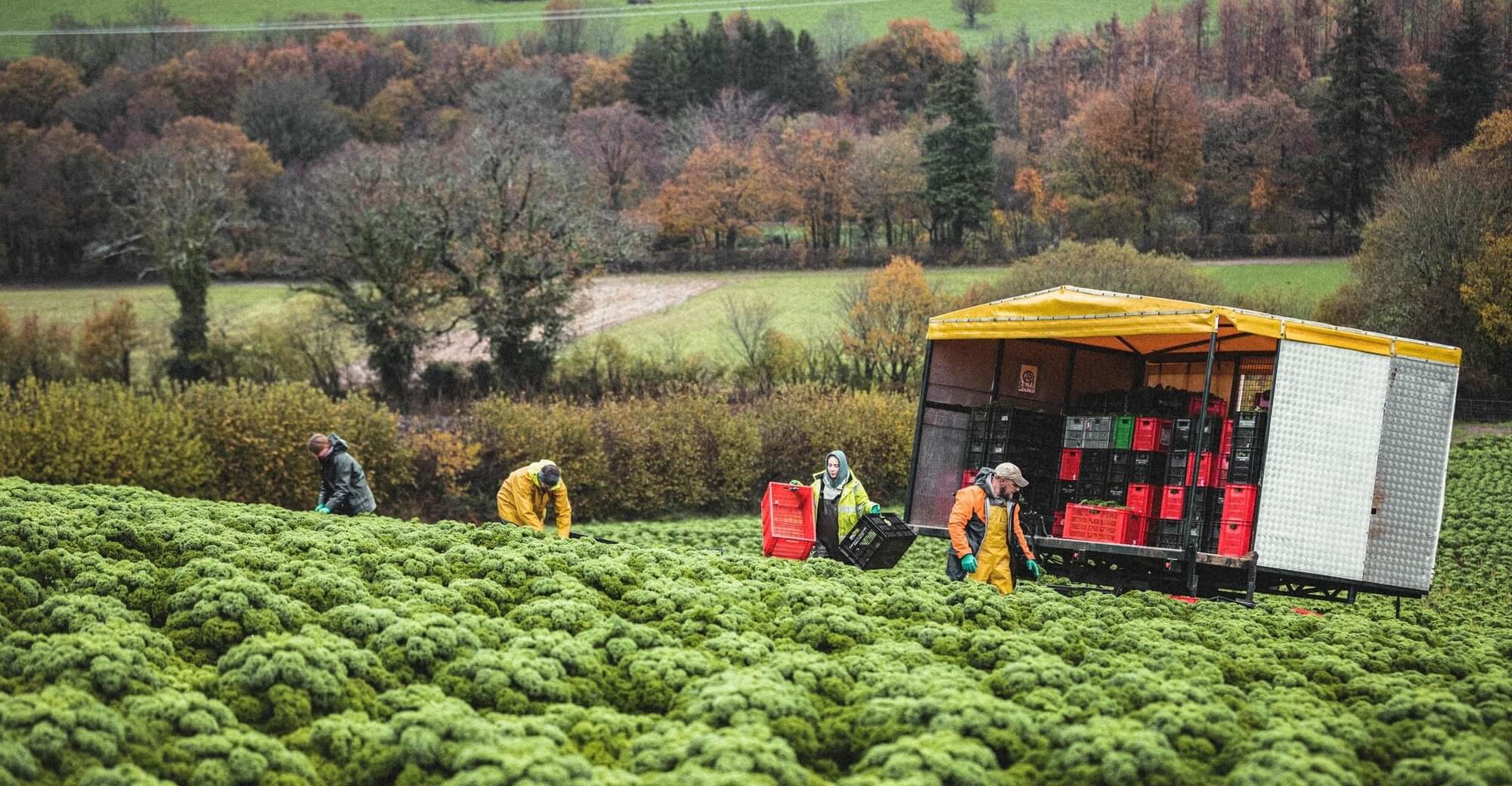 Riverford on Wash Farm / Riverford