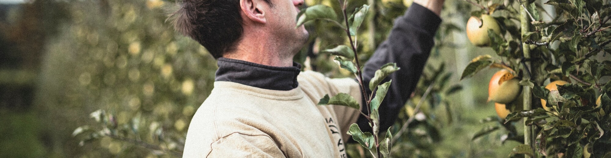 Joe Pardoe / Riverford