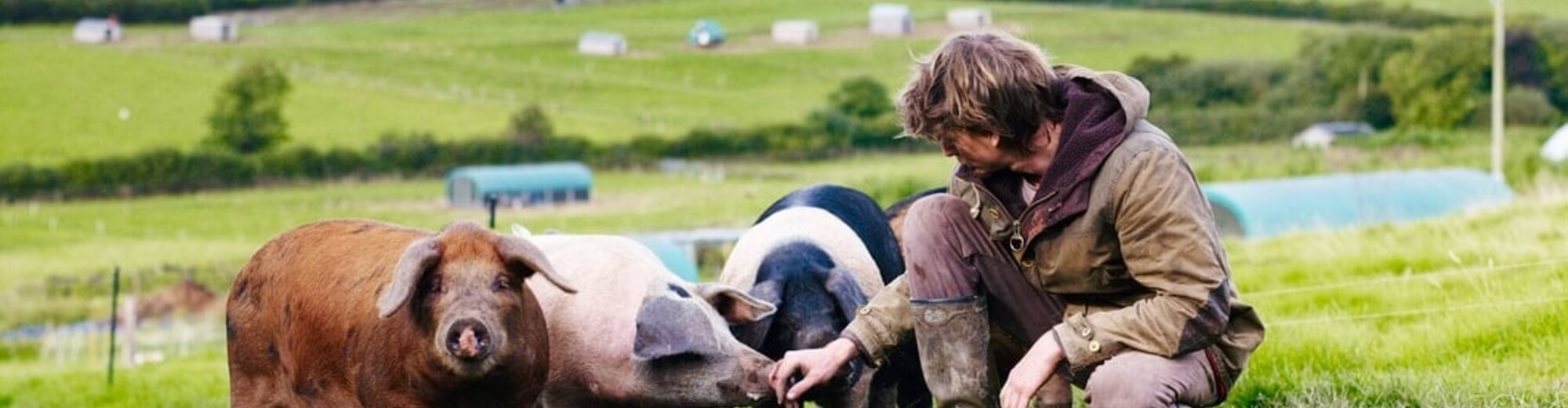 Haye Farm / Riverford