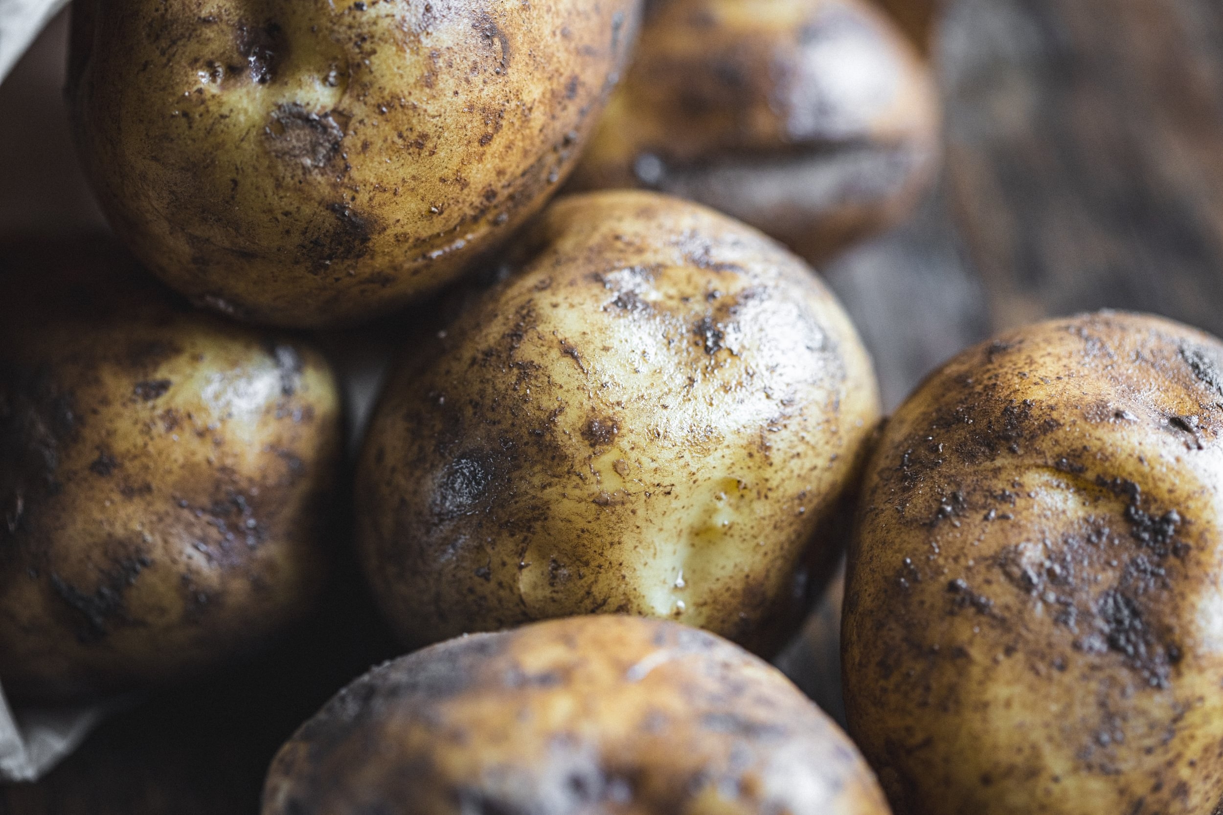 Organic Baking potatoes 1.5kg / Riverford