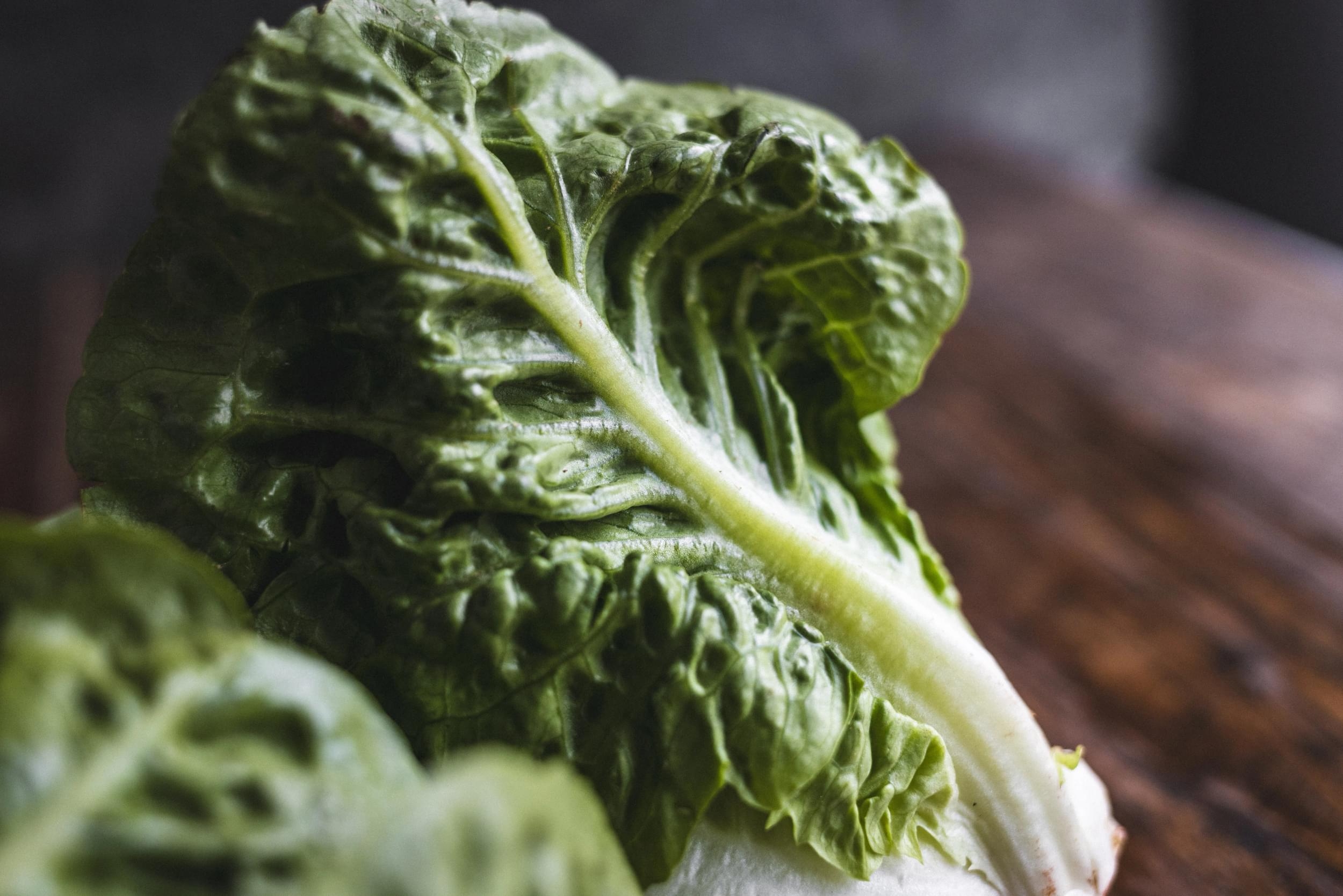 Organic Mini Cos lettuce x2 / Riverford