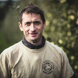 Organic Plums 400g / Riverford