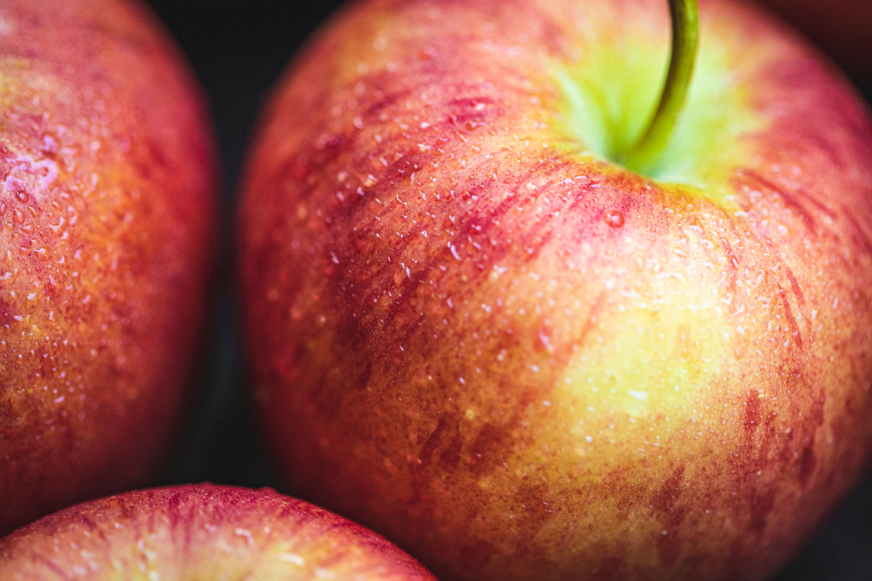 Organic Evita apples 750g / Riverford