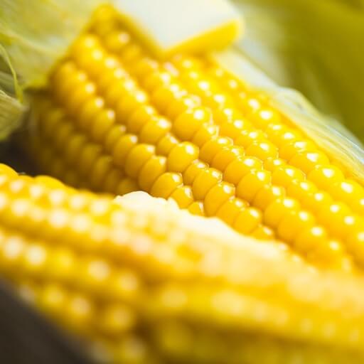 Corn Cob Stock recipe / Riverford