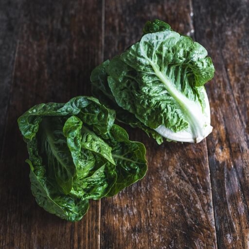 Organic Mini Cos lettuce x2 / Riverford