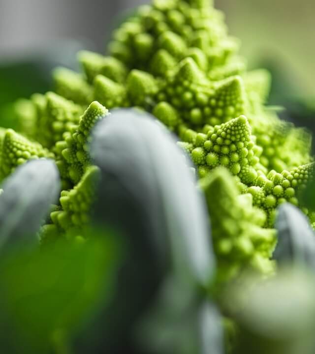 Easy ideas for romanesco recipe / Riverford