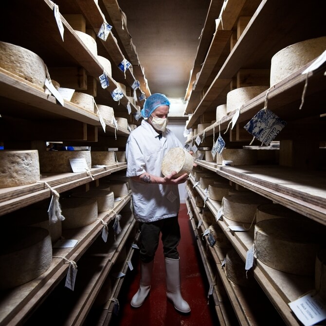 The Ethical Dairy / Riverford