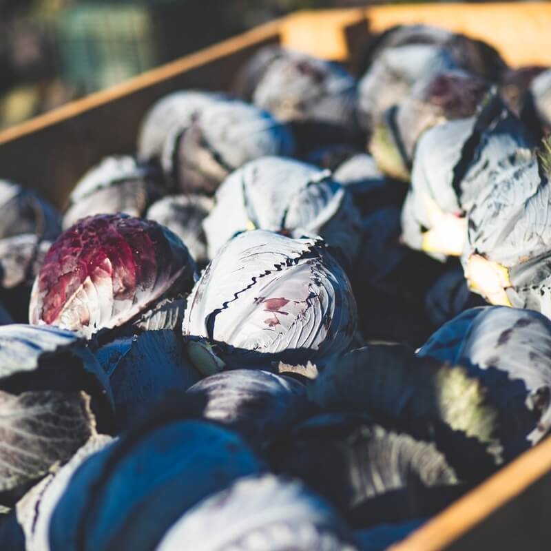 Ian & Alison Samuel / Riverford