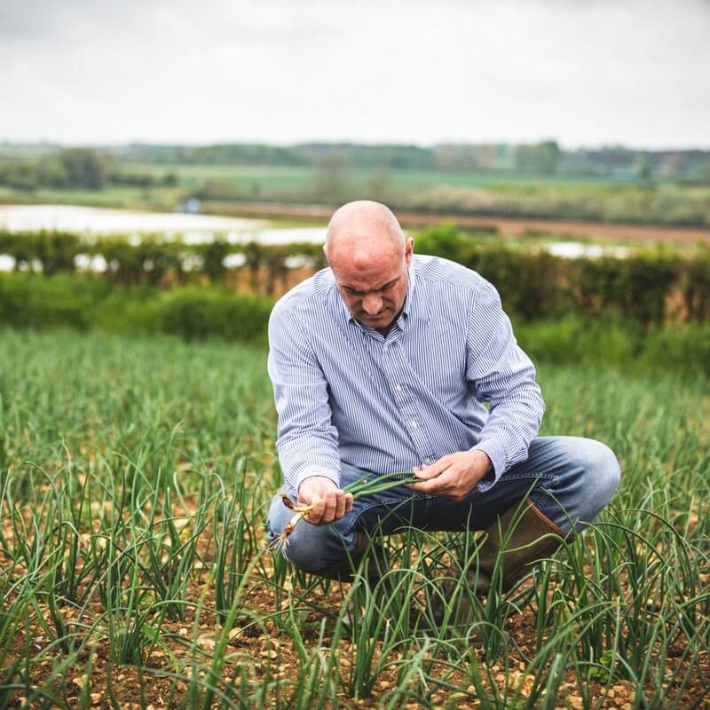 Riverford on Sacrewell Farm / Riverford