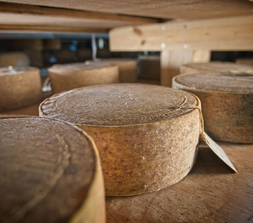 The Ethical Dairy / Riverford