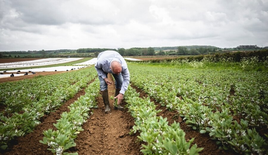 Riverford on Sacrewell Farm / Riverford