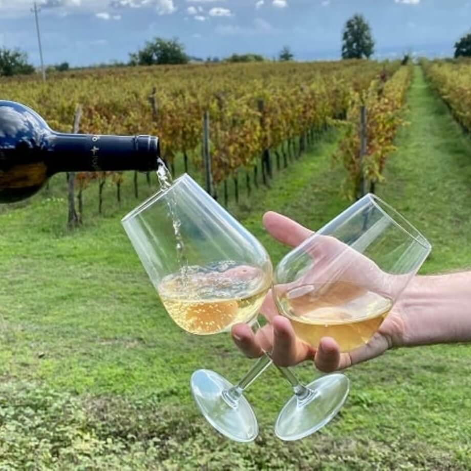 Vintage Roots / Riverford