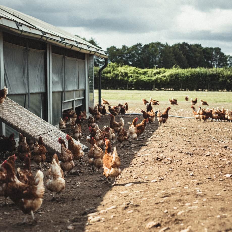 Duncan Janaway / Riverford