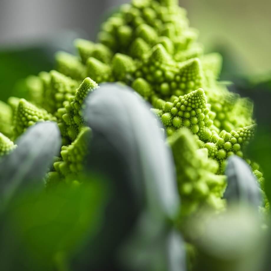 Sicilian roast romanesco & orzo pasta recipe / Riverford
