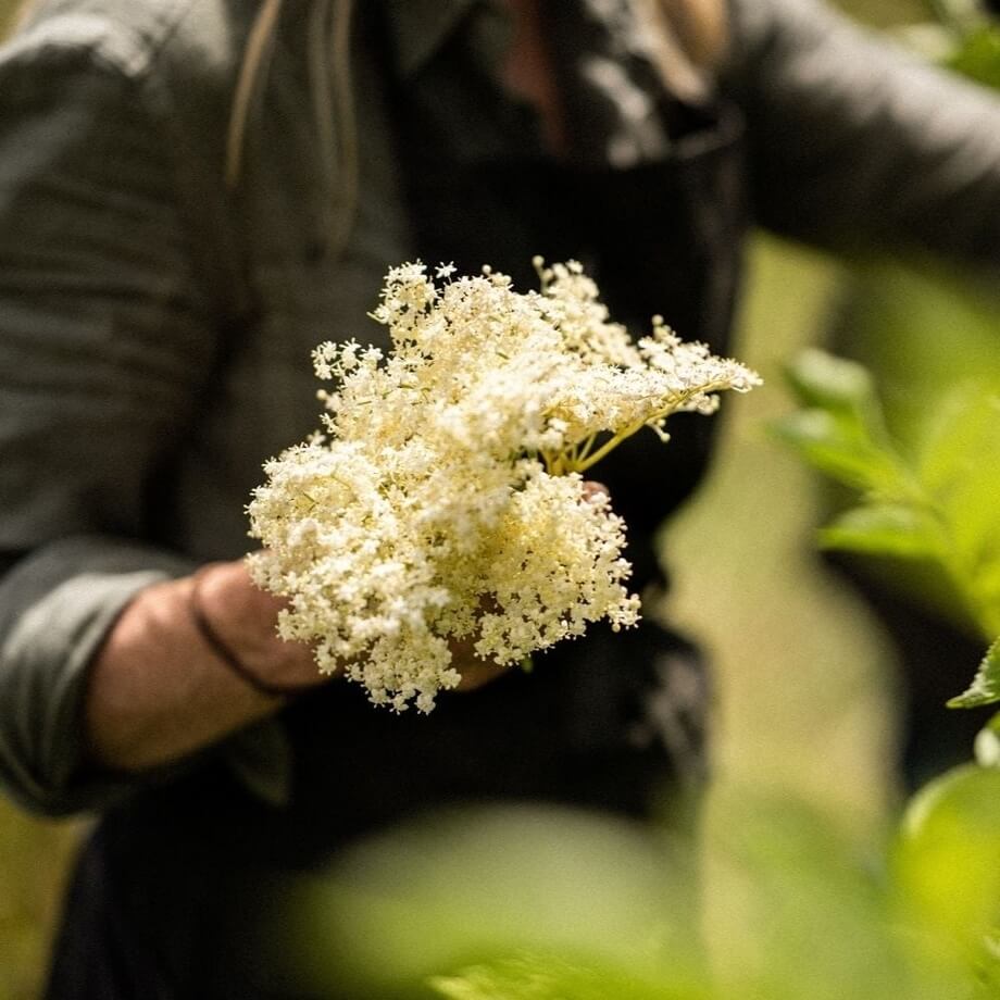 Luscombe / Riverford