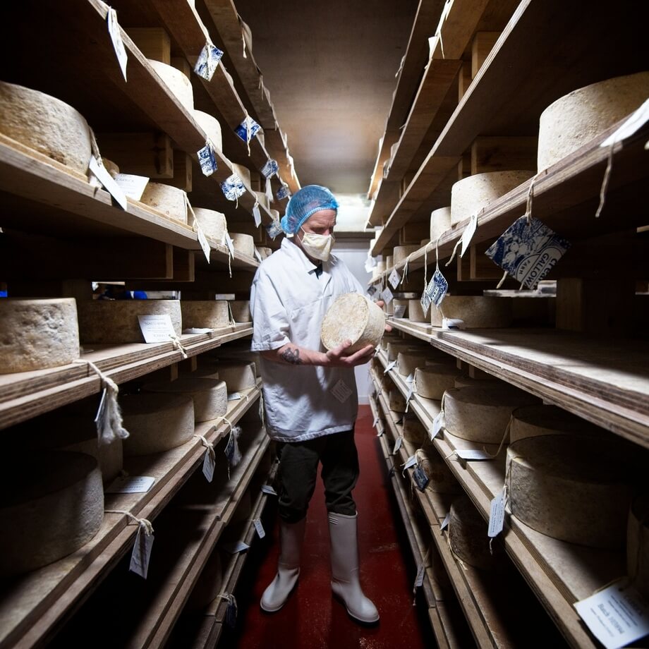 The Ethical Dairy / Riverford