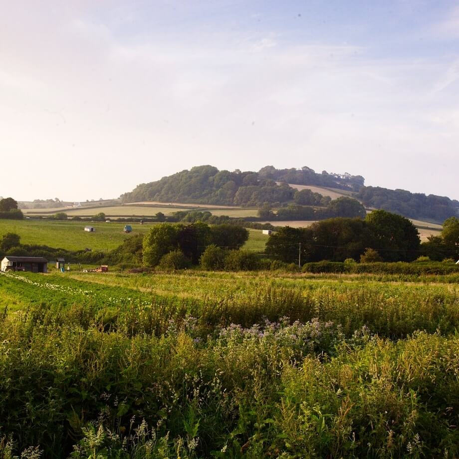 Haye Farm / Riverford