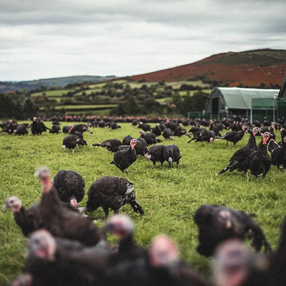 The Malseed family / Riverford