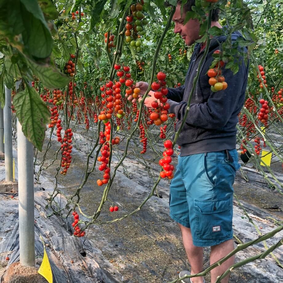 Paco Lozano / Riverford