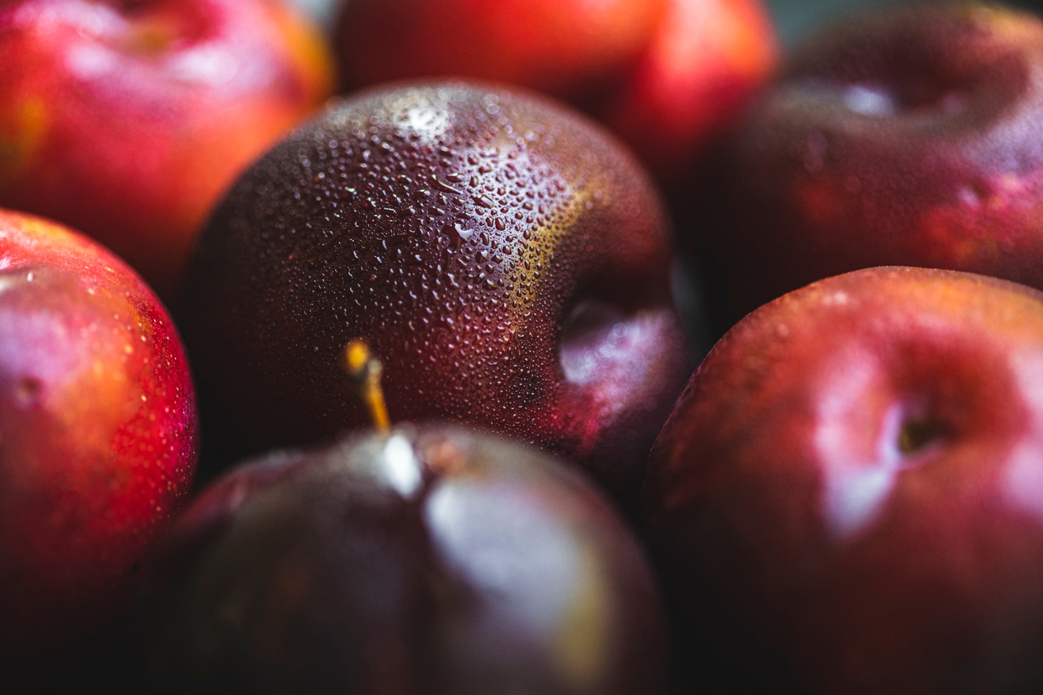 Organic Plums 400g / Riverford