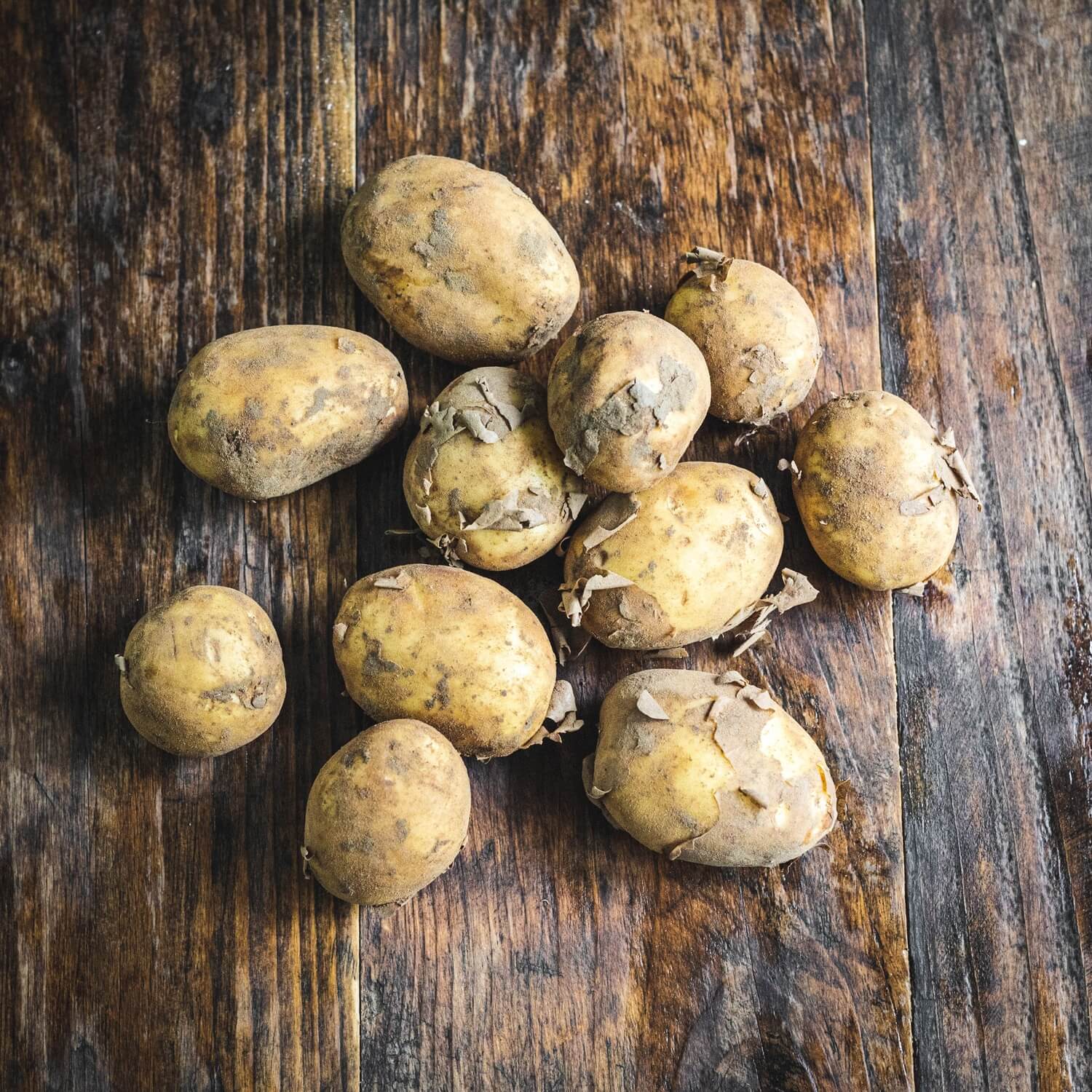 Organic New potatoes 500g / Riverford