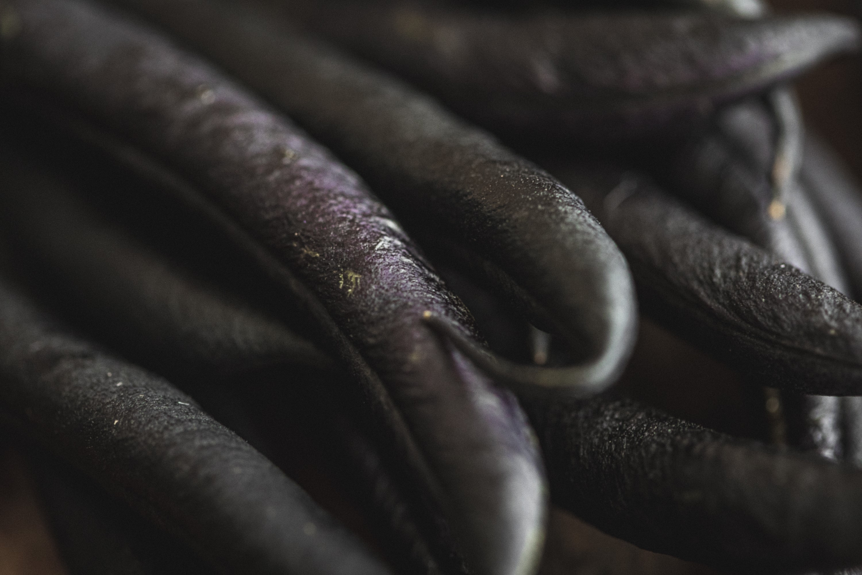 Organic Purple French beans 300g / Riverford
