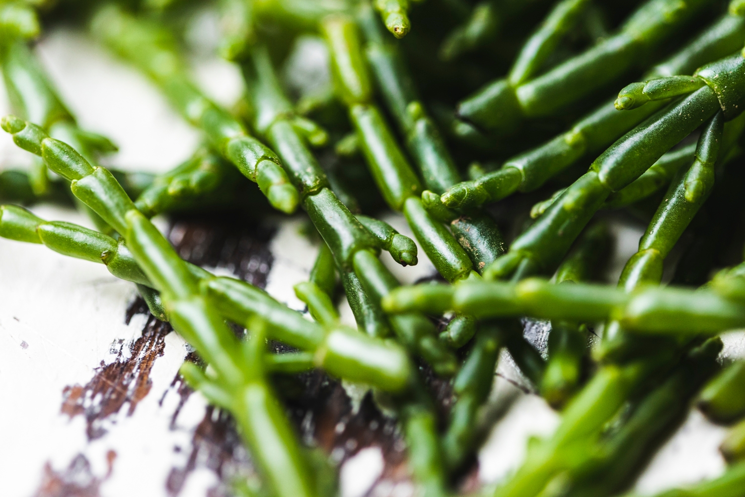 Organic Samphire 100g / Riverford