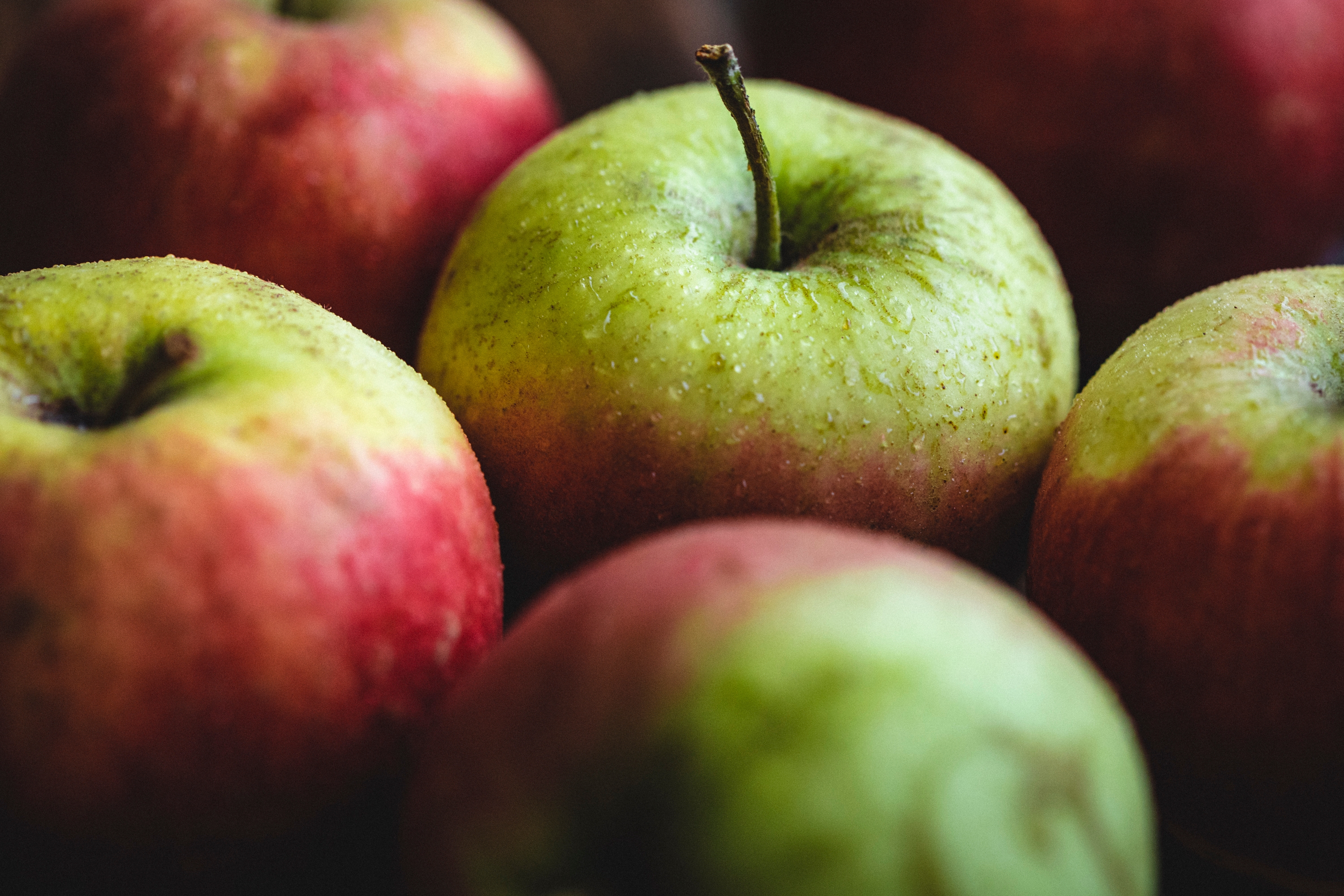 Organic Scrumptious apples 750g / Riverford