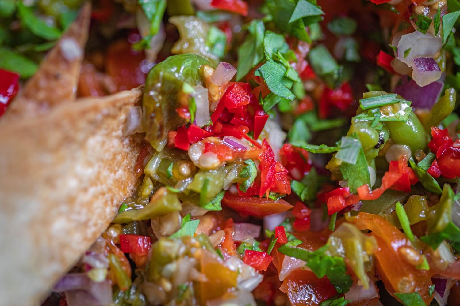 Organic Blistered Padron Salsa & Tortilla Chip Kit / Riverford