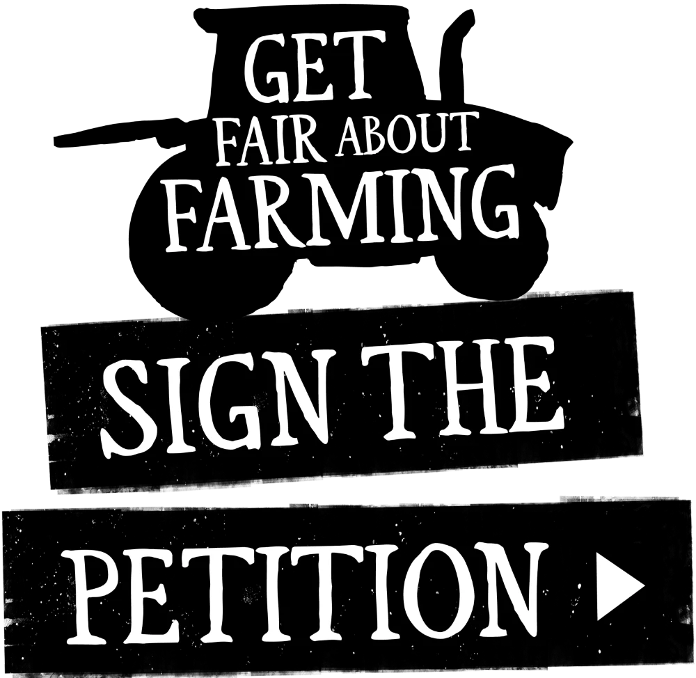 Seasonal veg boxes / Riverford