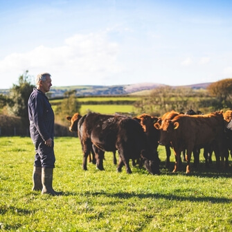 Organic Essentials meat box / Riverford