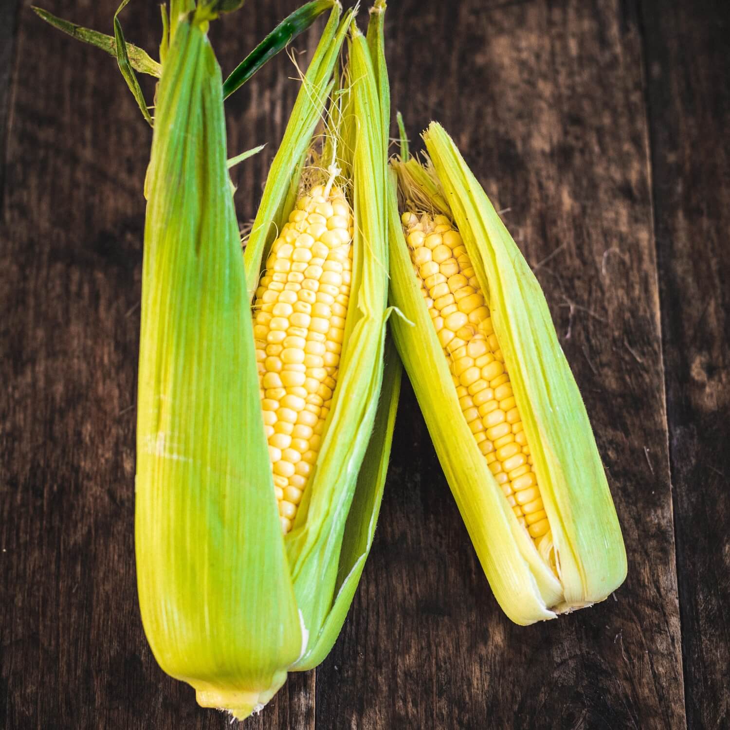 Organic Sweetcorn on the cob x2 / Riverford