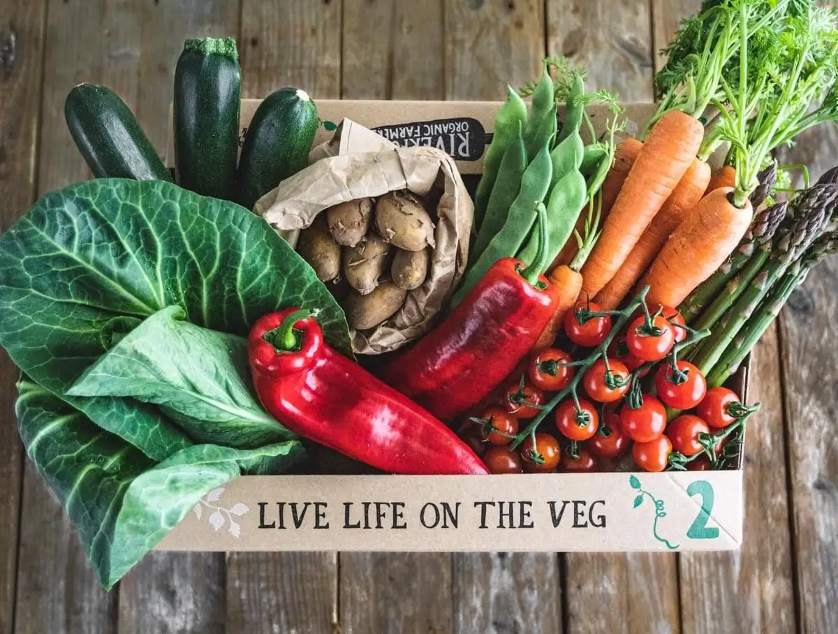 Seasonal veg boxes / Riverford