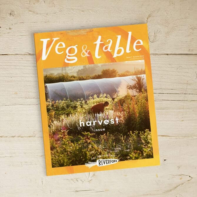 Veg & Table magazine (Issue 1) / Riverford