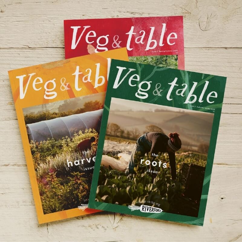 Veg & Table magazine bundle x3 / Riverford